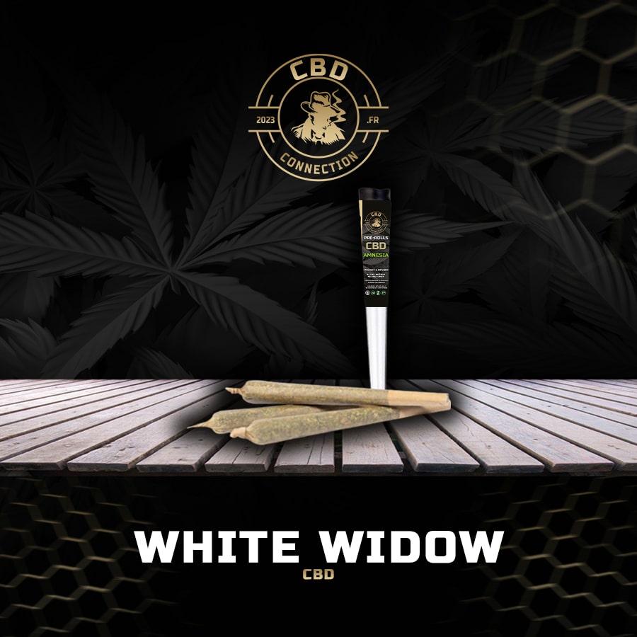 CBDconnection - Pré-rolls white widow CBD - Livraison Express