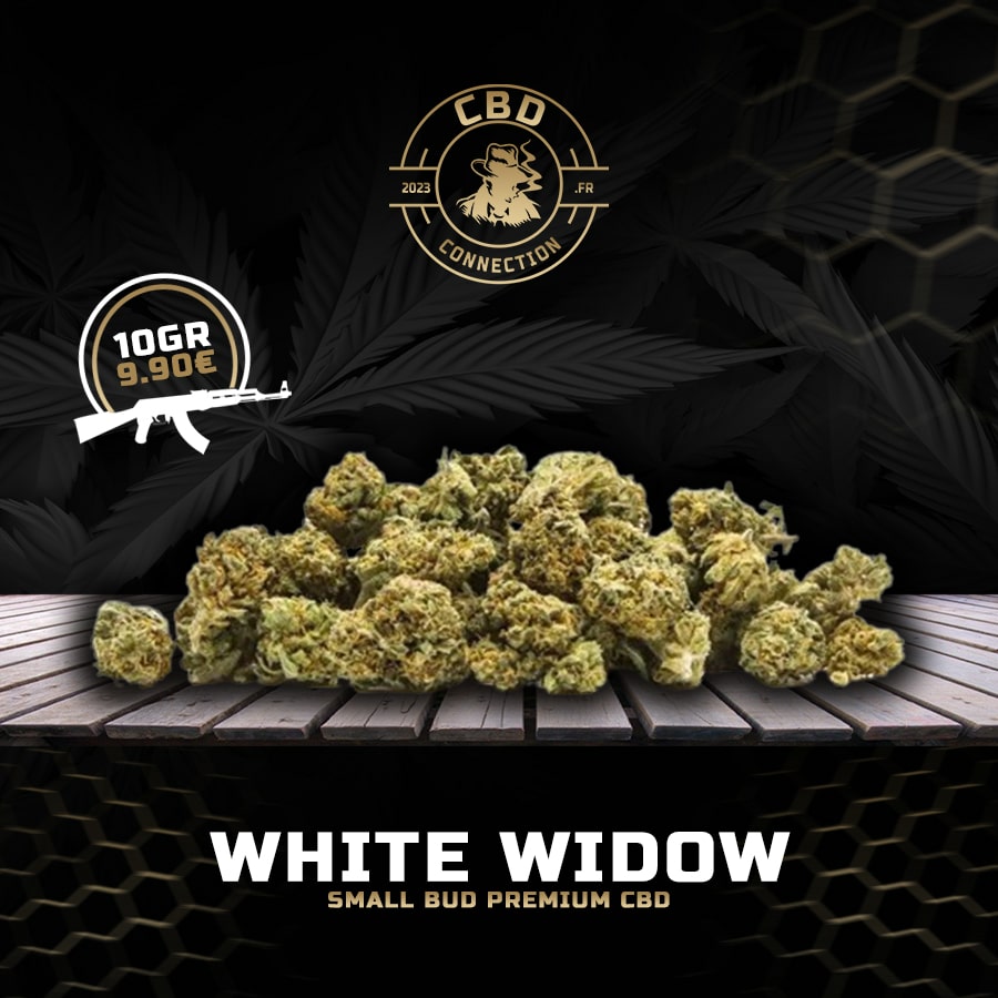 CBD Connection - LES DISCOUNTERS DU CBD